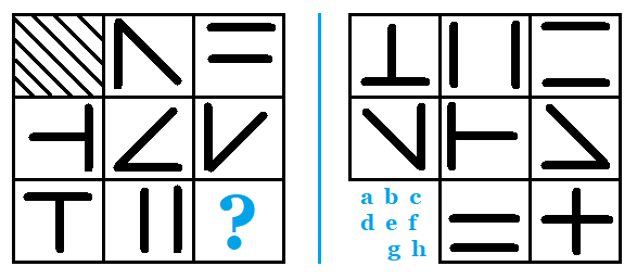 The Nemo Spatial IQ Test